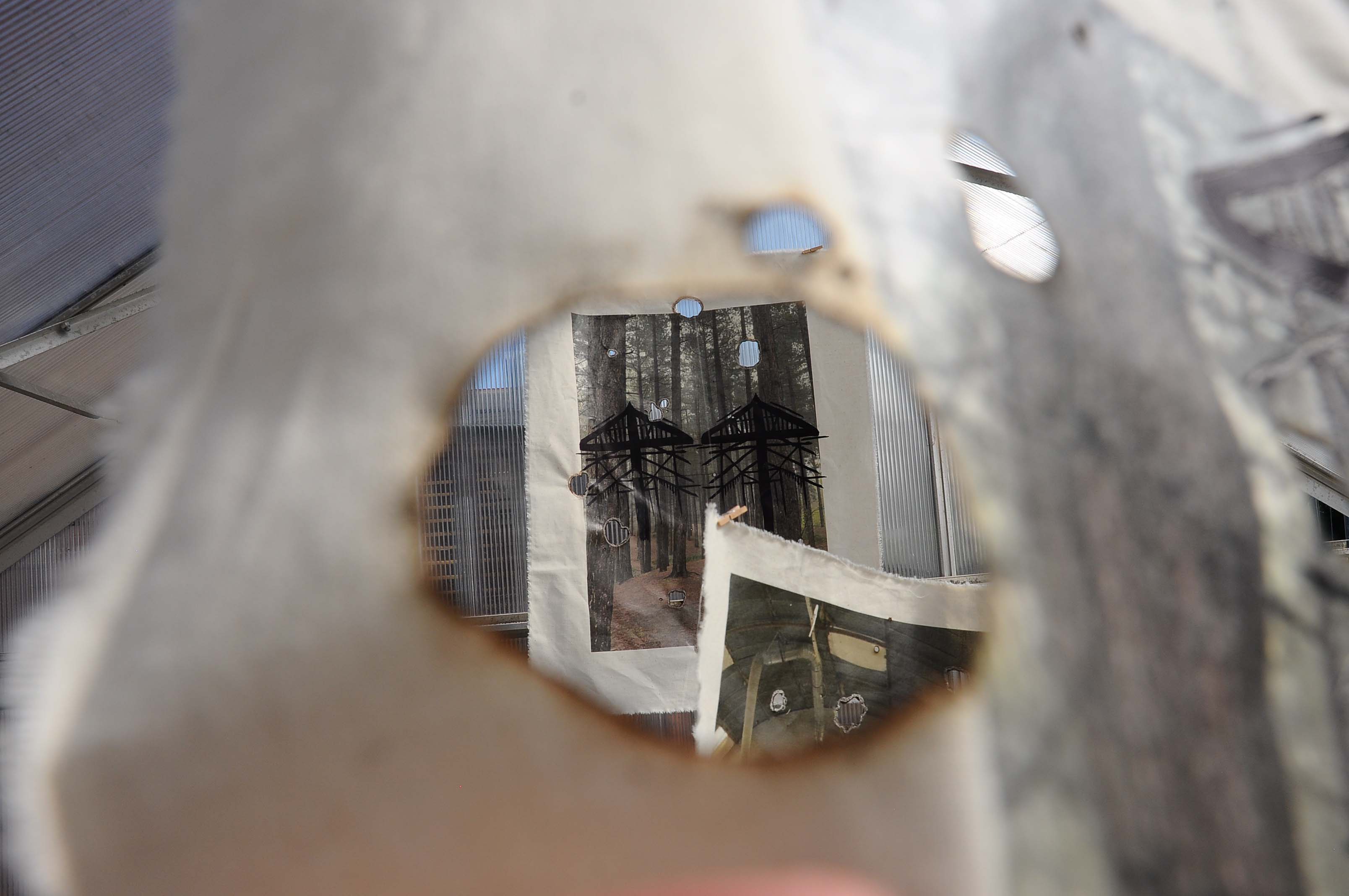 Foundation Level 4 - Nathaniel Ball | Southport College